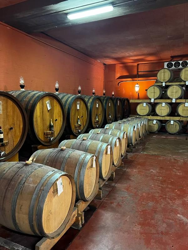 5 Wines to Try This Fall—Handpicked by Our Team - Cask and Cork